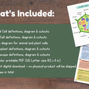 Cell Structure Diagram Printable Bundle Plant Cell Animal Cell ...