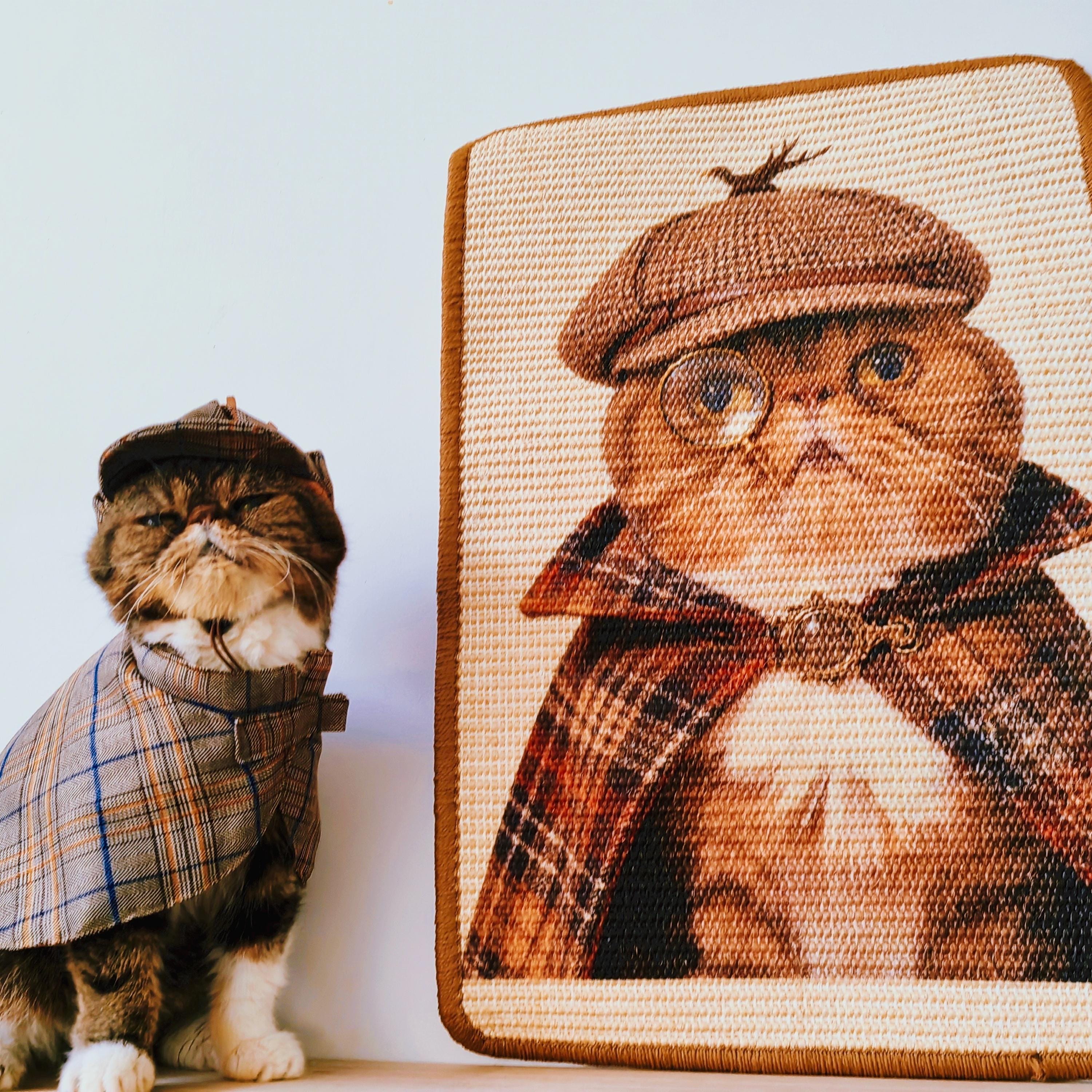 Personalized Natural Sisal Cat Scratch Mat – Eco-friendly, Durable ...