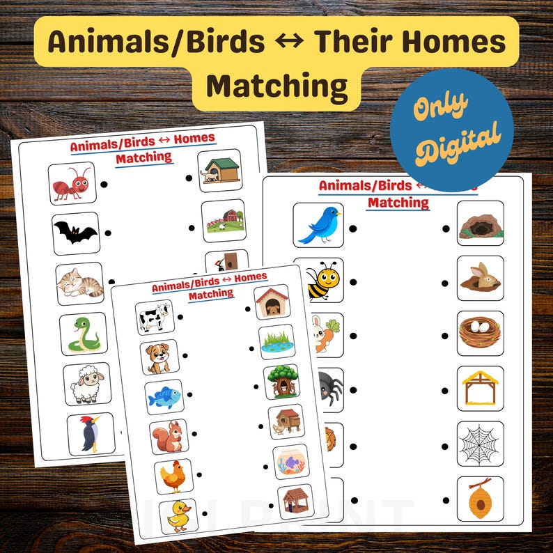 50 Printable Matching Worksheets Bundle | Kindergarten Preschool ...