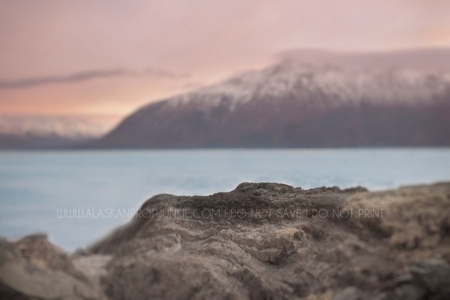 Grizzly Bear Digital Background and Overlay Brown Bear Overlay, Alaska ...