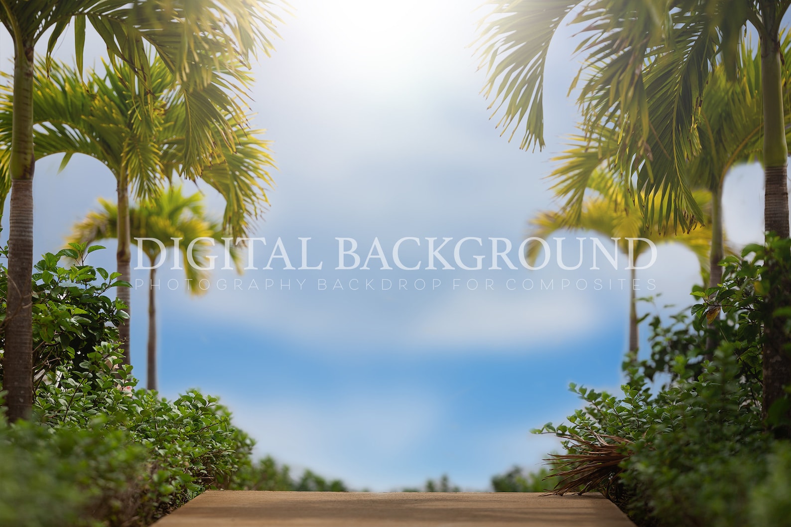4 Dreamy Tropical Palm Trees Digital Backdrops I Four Palm Paradise ...