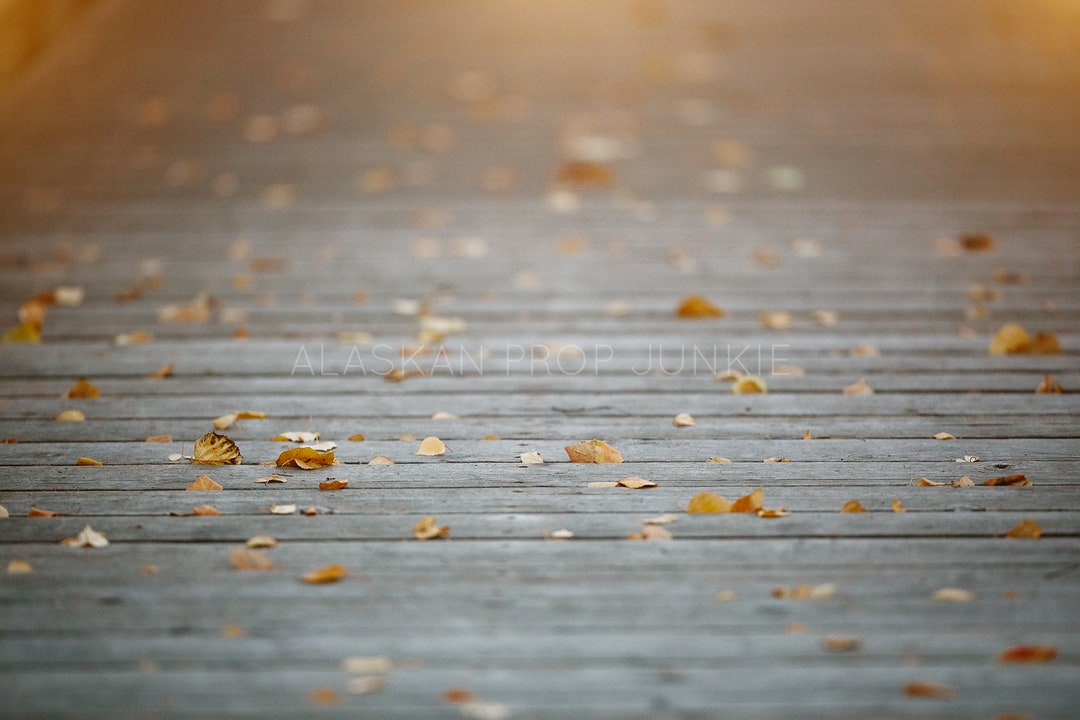 Fall Boardwalk Digital Backdrop - Etsy