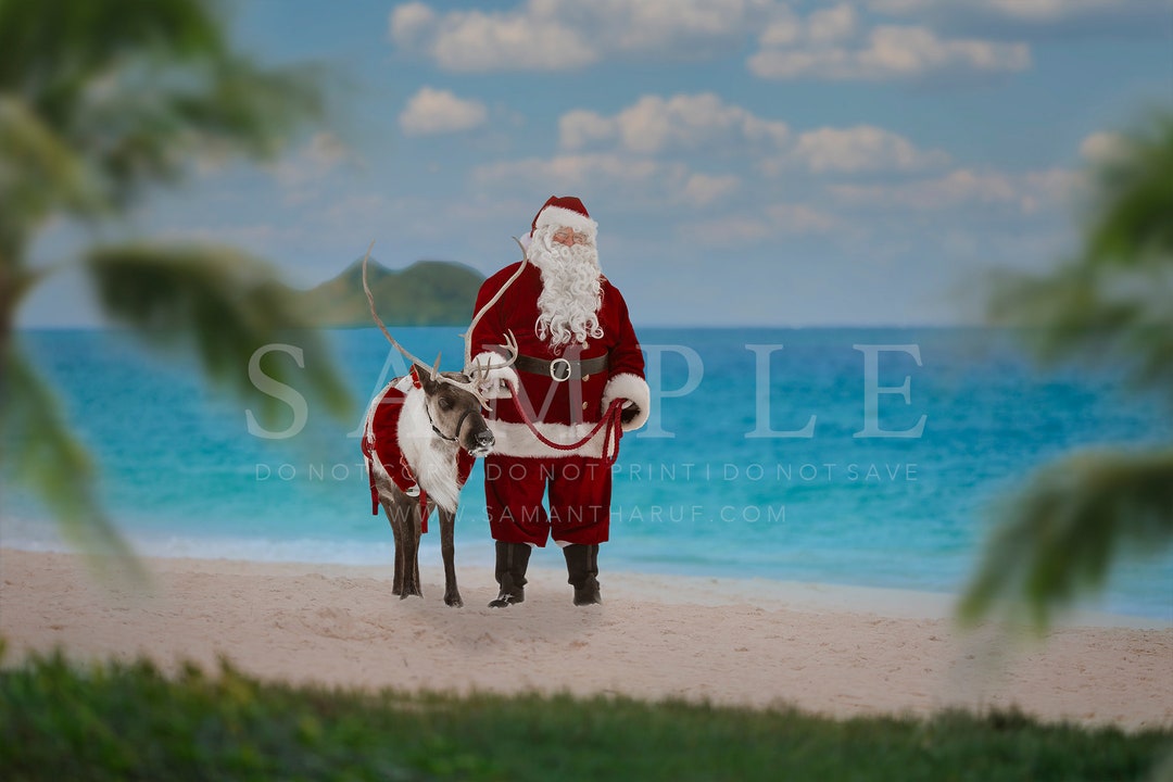 Santa and His Reindeer on the Beach Digital Background I Tropical ...