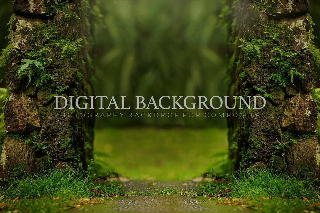 Dreamy Tropical Rock Wall Path Digital Backdrop I Jungle Fairytale ...