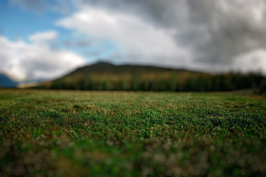 Open Field Digital Backdrop - Etsy