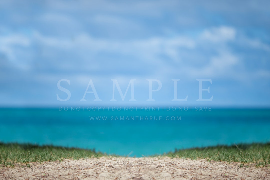 Beach Digital Backdrop I Tropical Background - Etsy