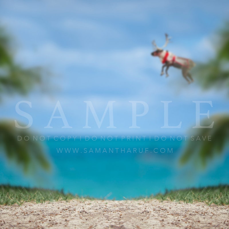 Flying Reindeer - Etsy