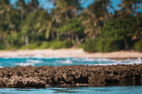 Oceanside Rock Digital Backdrop | Etsy