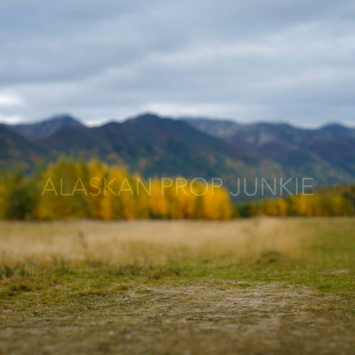 Autumn Field Digital Backdrop Fall Harvest Image Tall Grassy - Etsy
