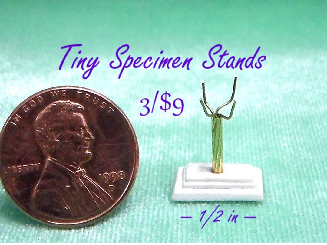 Miniature Dollhouse Display Stand Tiny Specimen Half Inch - Etsy