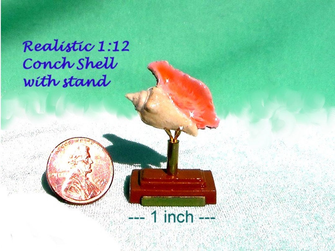 Dollhouse Miniature Shell Conch Stand - Etsy