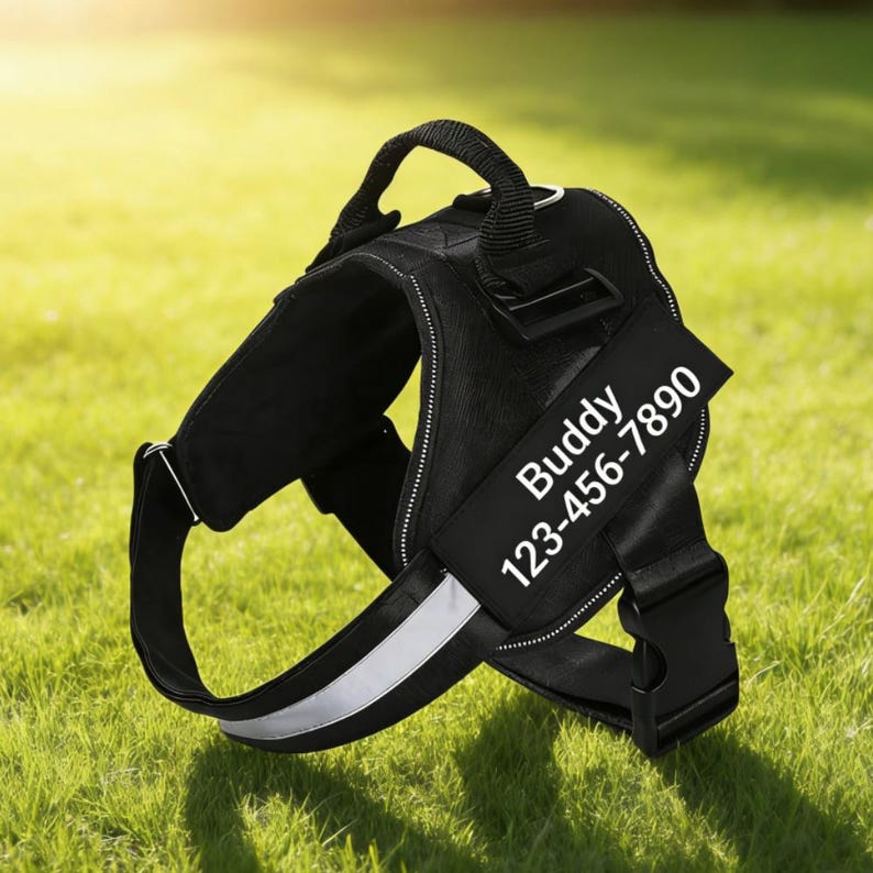 Personalized No-pull Dog Harness, Reflective Padded Vest for Training ...