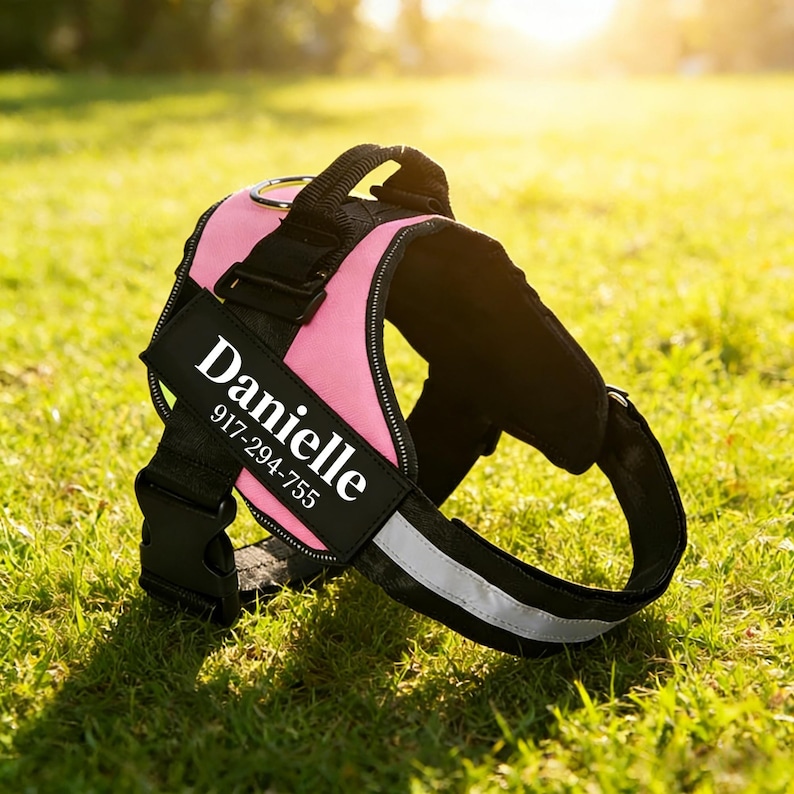 Personalized No-pull Dog Harness, Reflective Padded Vest for Training ...