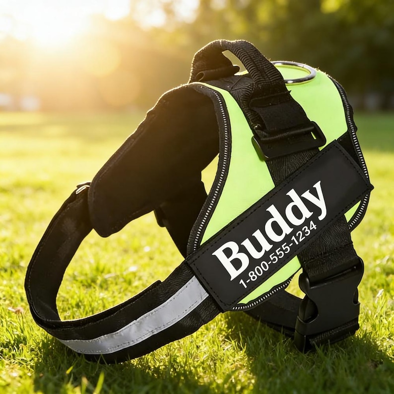Blue Personalized No-pull Dog Harness, Reflective Padded Vest for ...