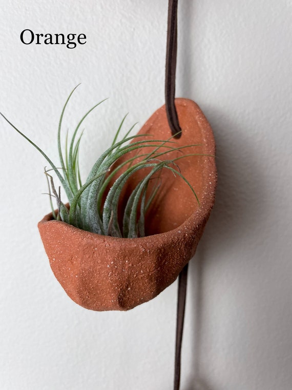 Floral & Garden Crafts Home & Hobby 3pc Set Air Plant Display Container ...