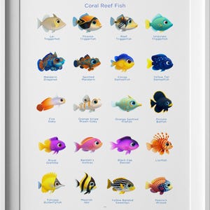 Coral Reef Fish Poster Set: Educational Marine Life Art for Kids ...