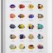 Coral Reef Fish Poster Set: Educational Marine Life Art for Kids ...