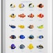Coral Reef Fish Poster Set: Educational Marine Life Art for Kids ...