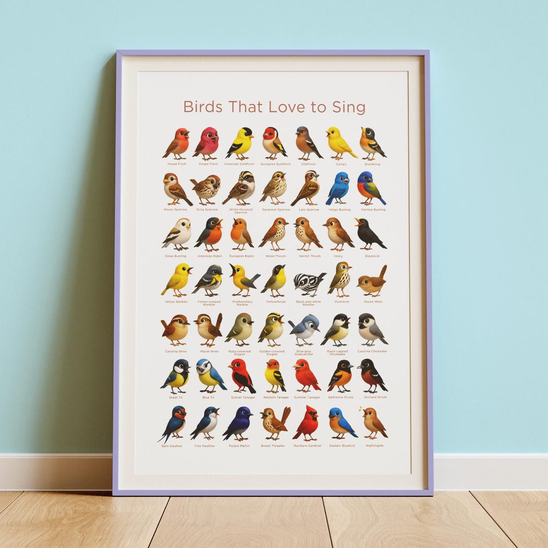 Songbird Poster: Educational Bird Chart, Classroom Decor (digital ...