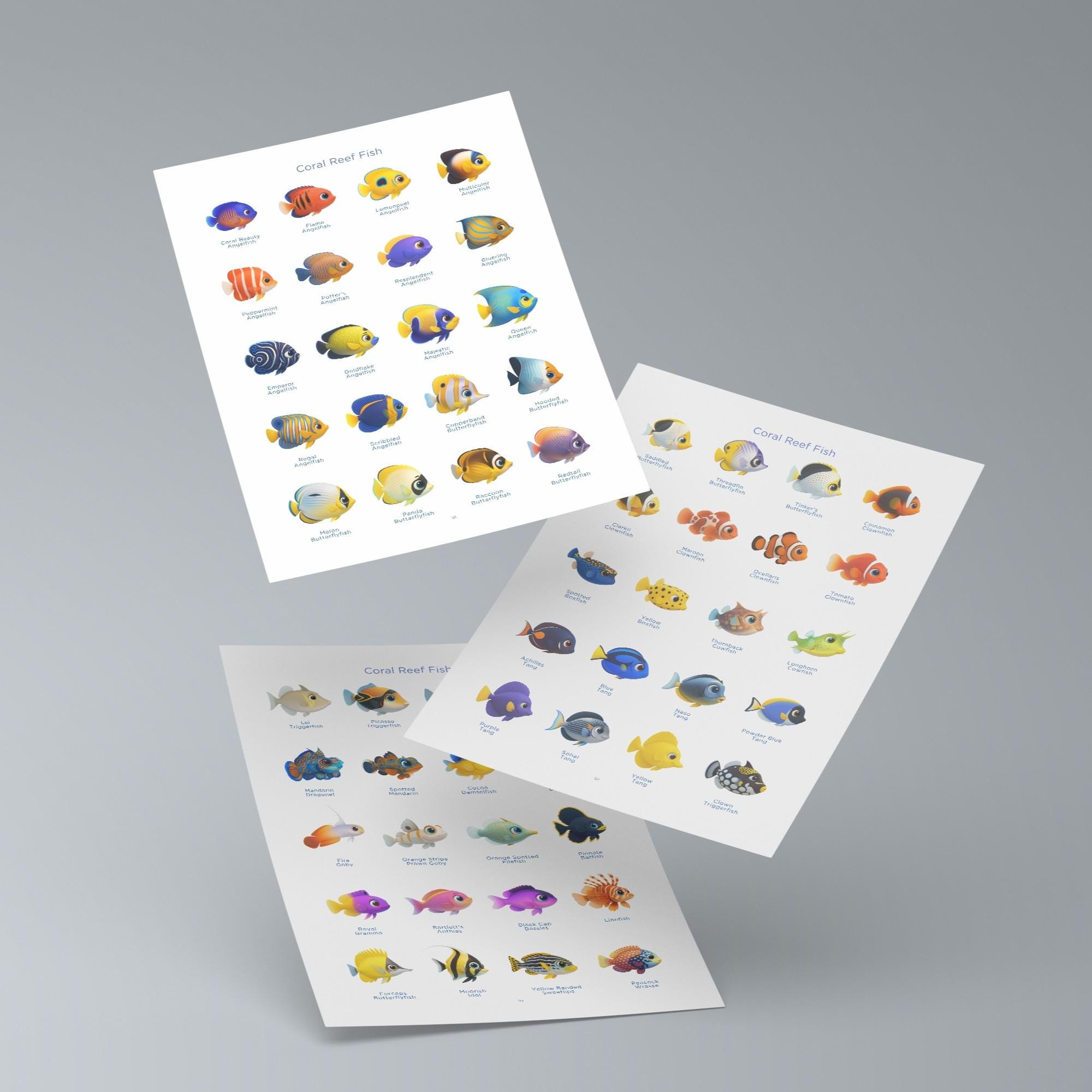 Coral Reef Fish Poster Set: Educational Marine Life Art for Kids ...
