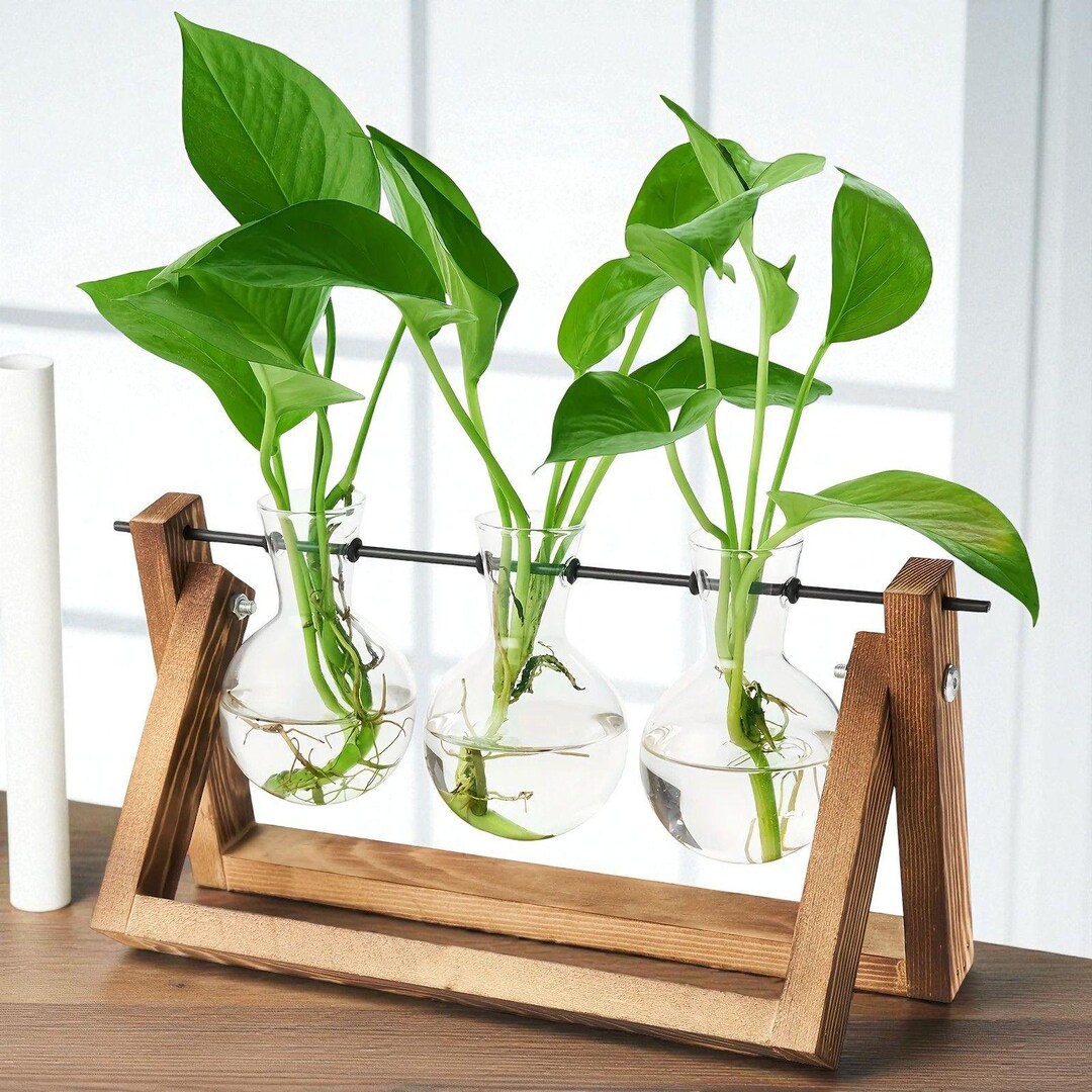 Propagation Station – 3 Glass Bulb Vases on Wooden Stand, Plant Cutting ...