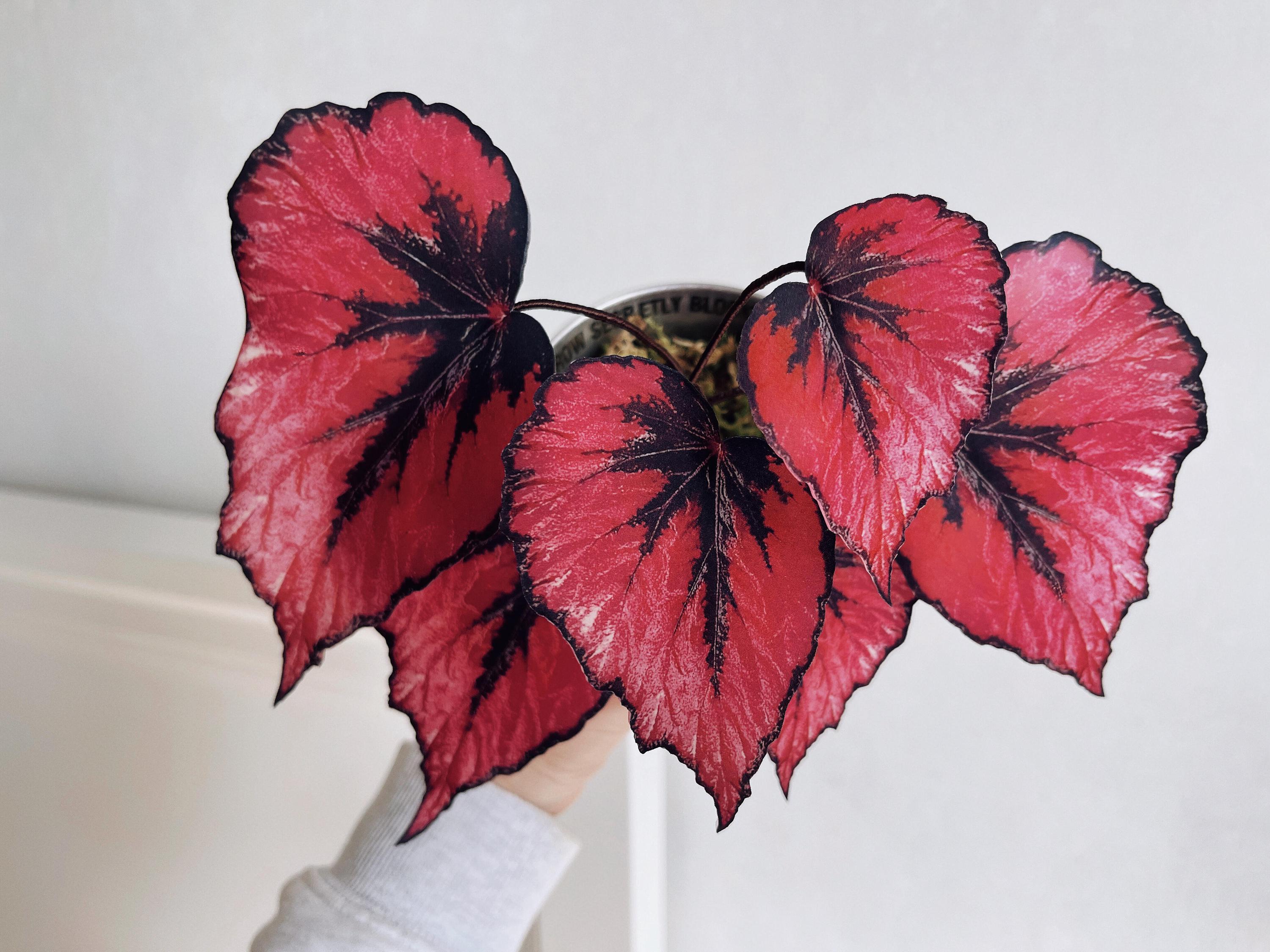 Handmade Faux Begonia, Red Black Gothic Decor, Artificial Plant in ...
