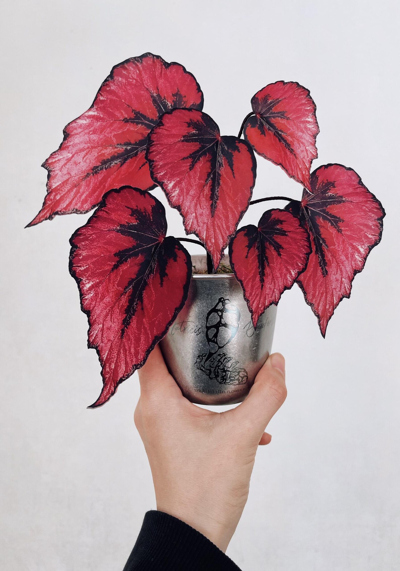 Handmade Faux Begonia, Red Black Gothic Decor, Artificial Plant in ...