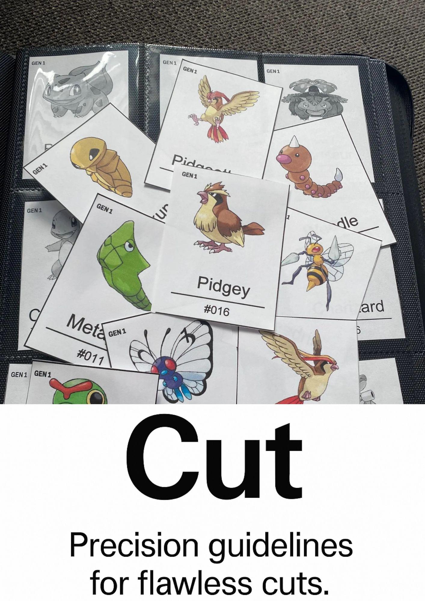 Pokémon Complete Pokédex Placeholder Cards (no. 1–1025, English Names ...