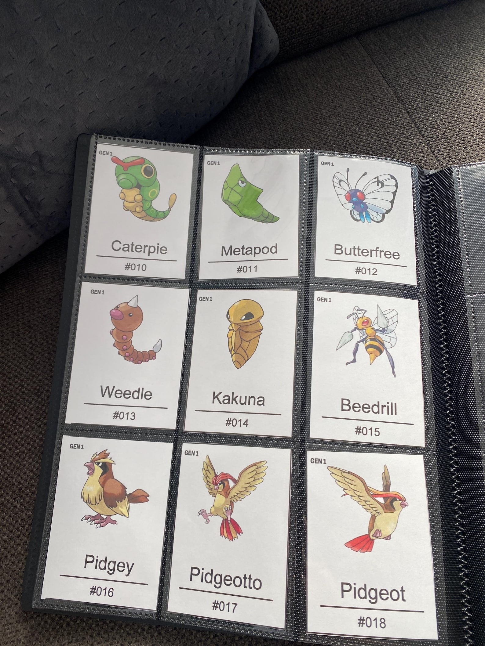 Pokémon Complete Pokédex Placeholder Cards (no. 1–1025, English Names ...