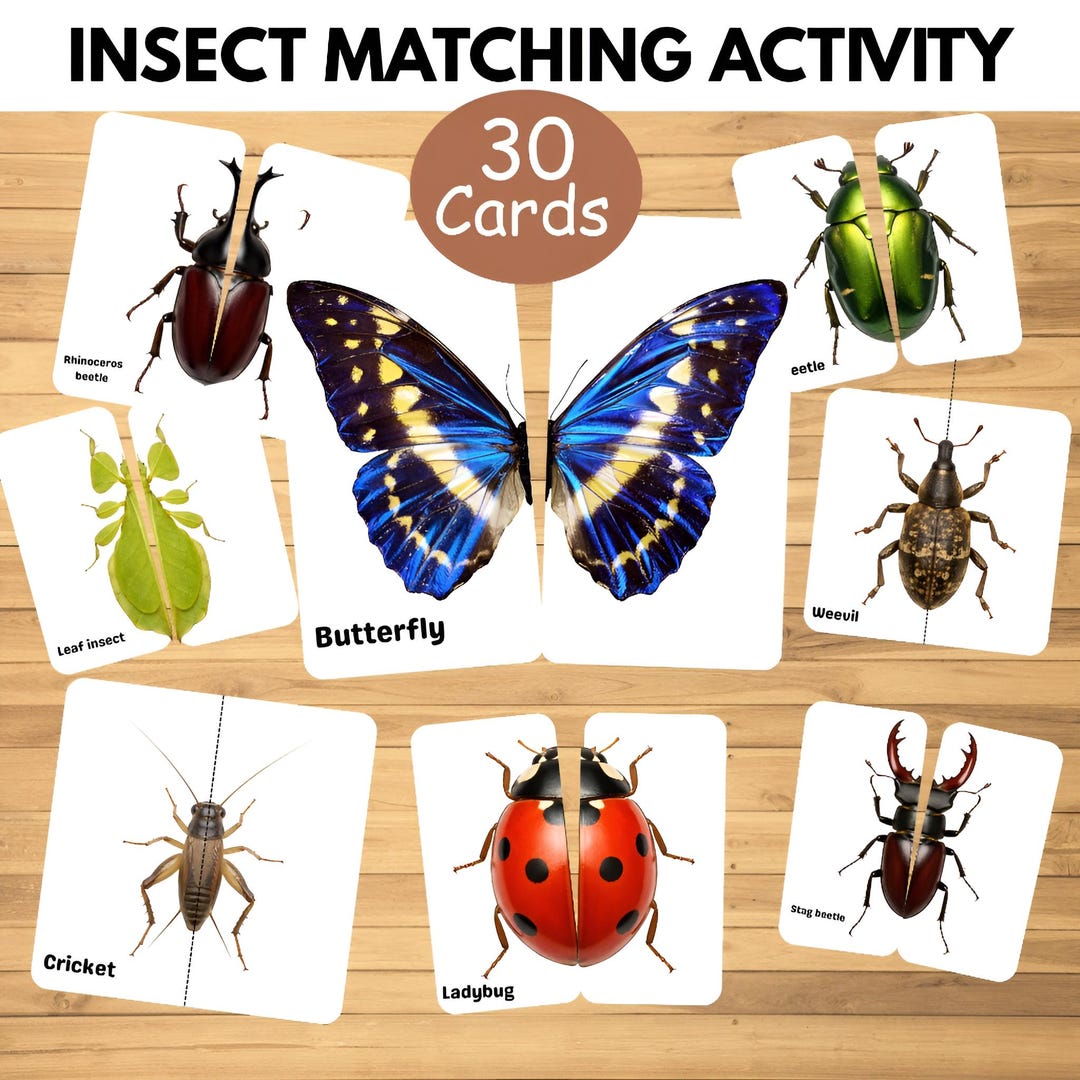 Insect Matching Game: 30 Toddler Puzzles, Montessori Activity (PDF ...