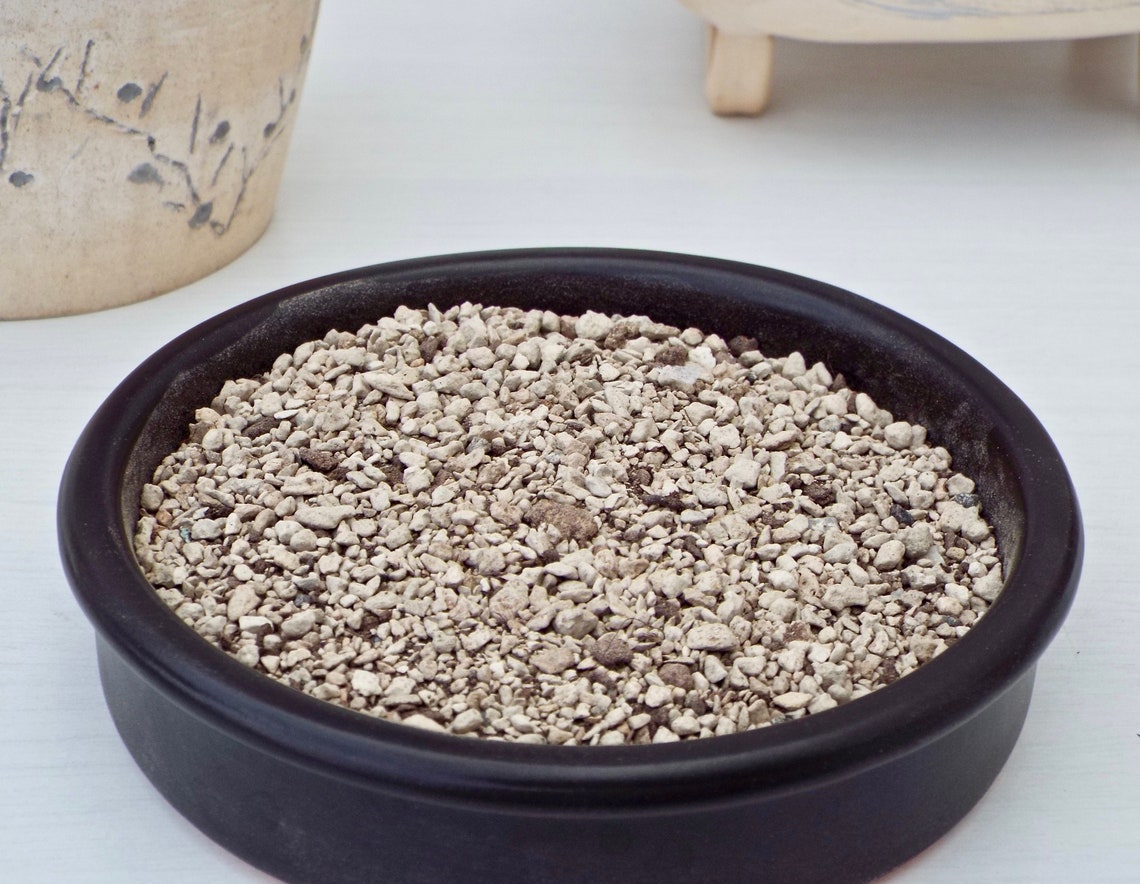 Lithops Soil Mix Mesembs Soil Germination Mixture Soil for | Etsy