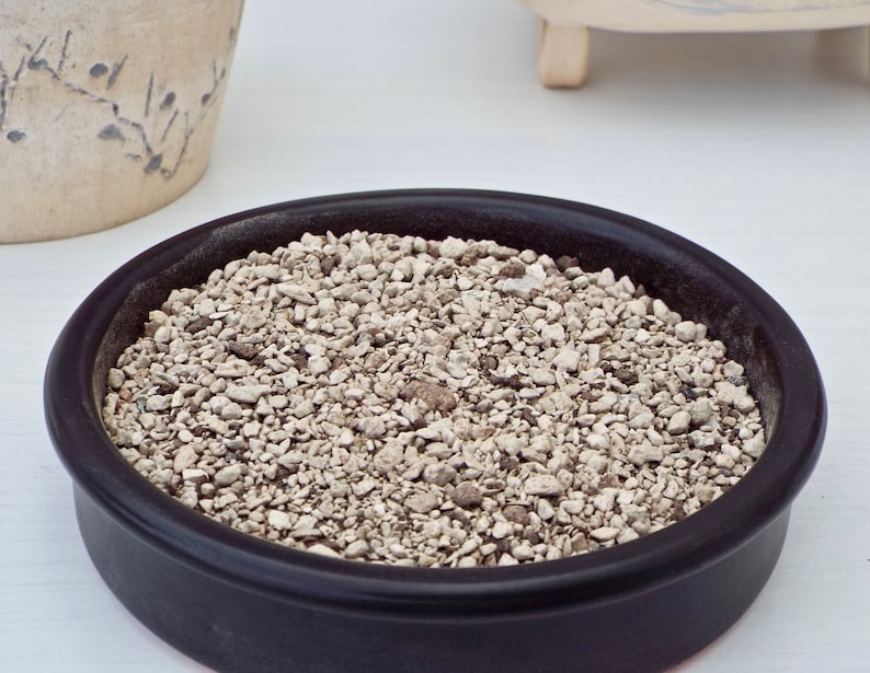 Lithops Soil Mix Mesembs Soil Germination Mixture Soil for | Etsy