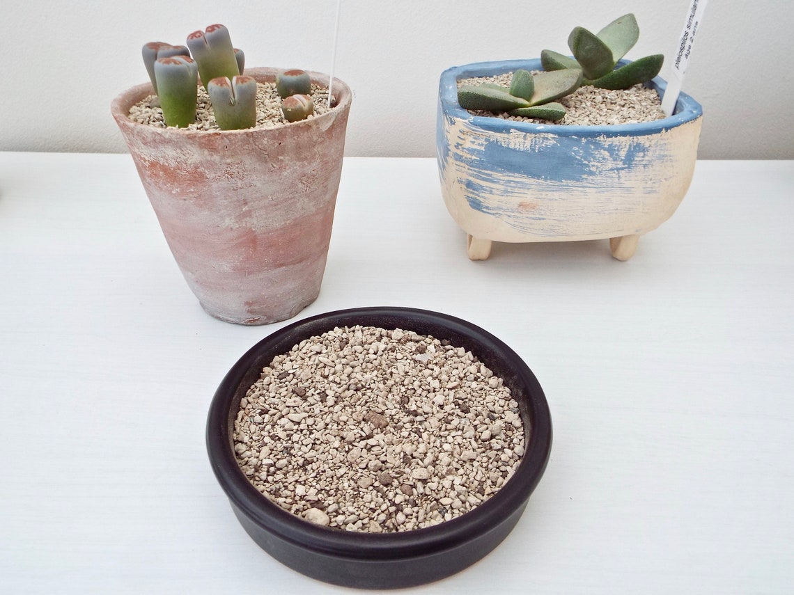 Lithops Soil Mix Mesembs Soil Germination Mixture Soil for | Etsy