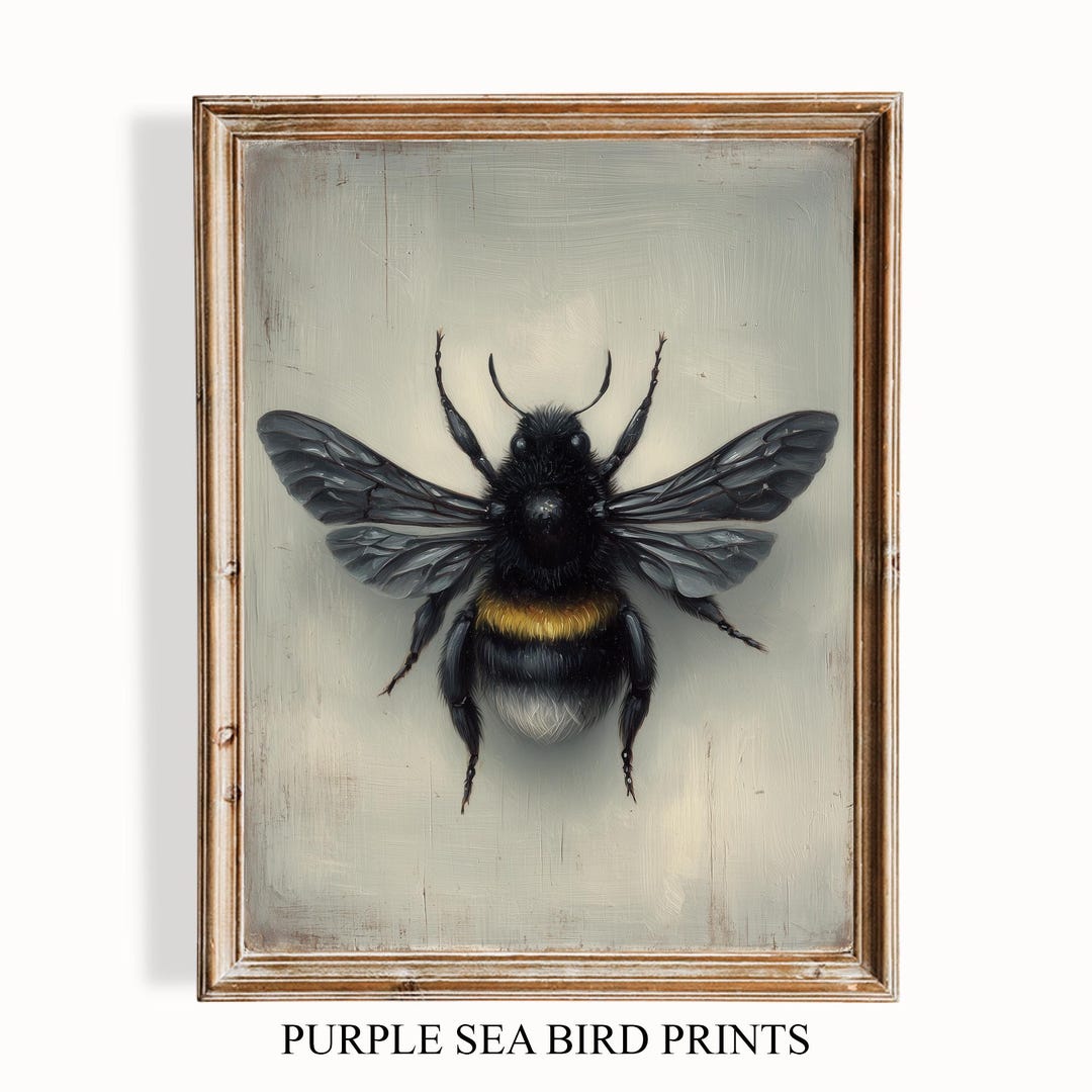 Antique Bumblebee Study Print - Dark Academia Wall Art, Vintage Bee ...