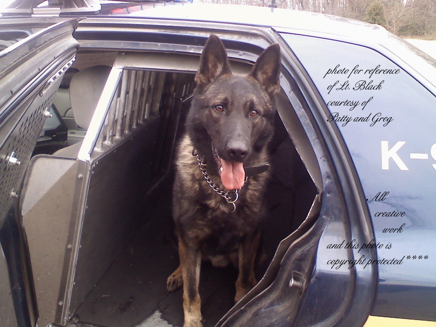 Above and Beyond /tribute Card/police Dog Card/unique Empathy ...