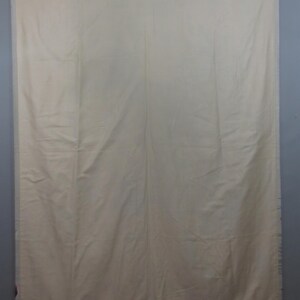 Vintage 1950's Drapery Panel, Big Tropical Floral, Fully Lined ...