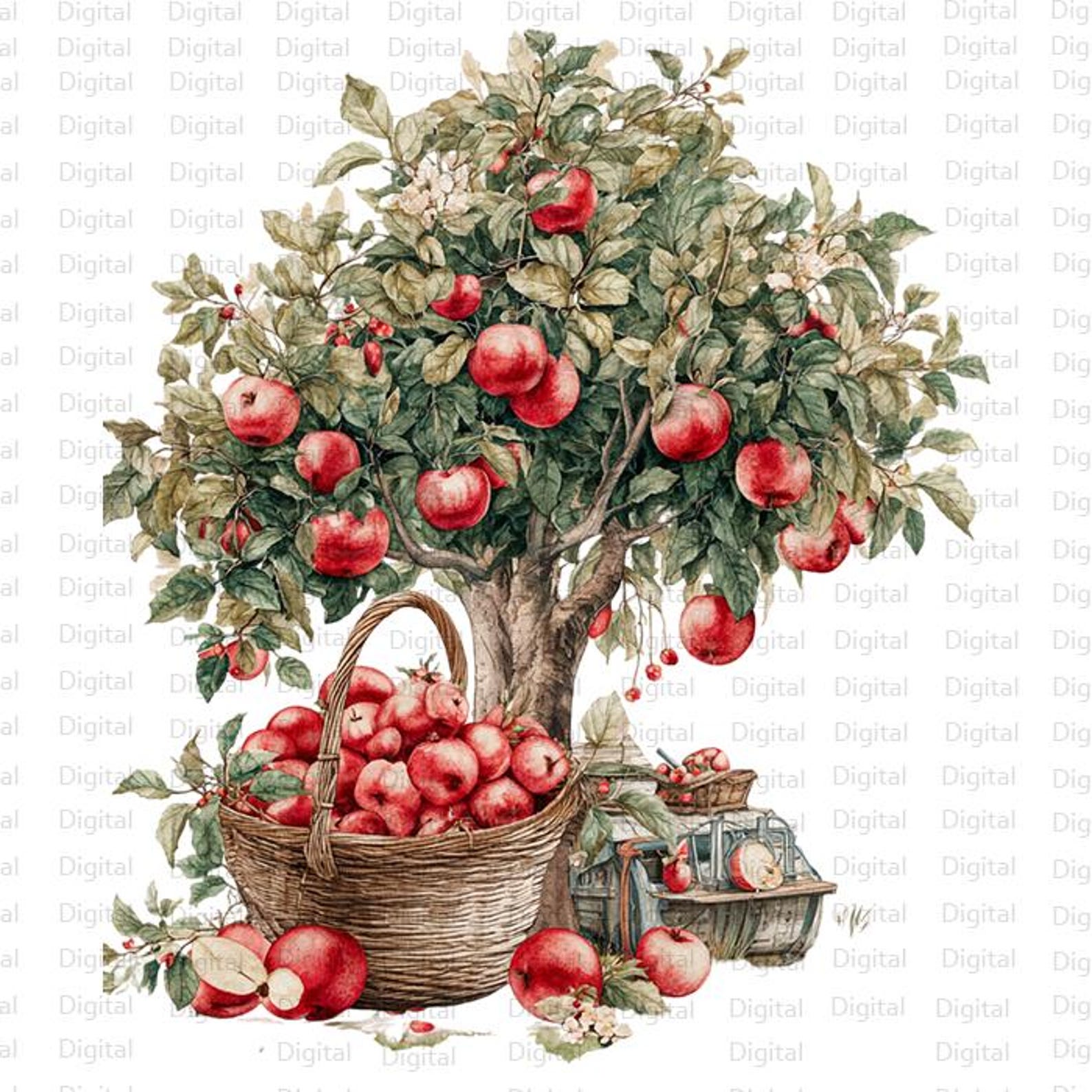 Apple Watercolor Clipart Bundle: Apple Tree Graphics (PNG Digital ...