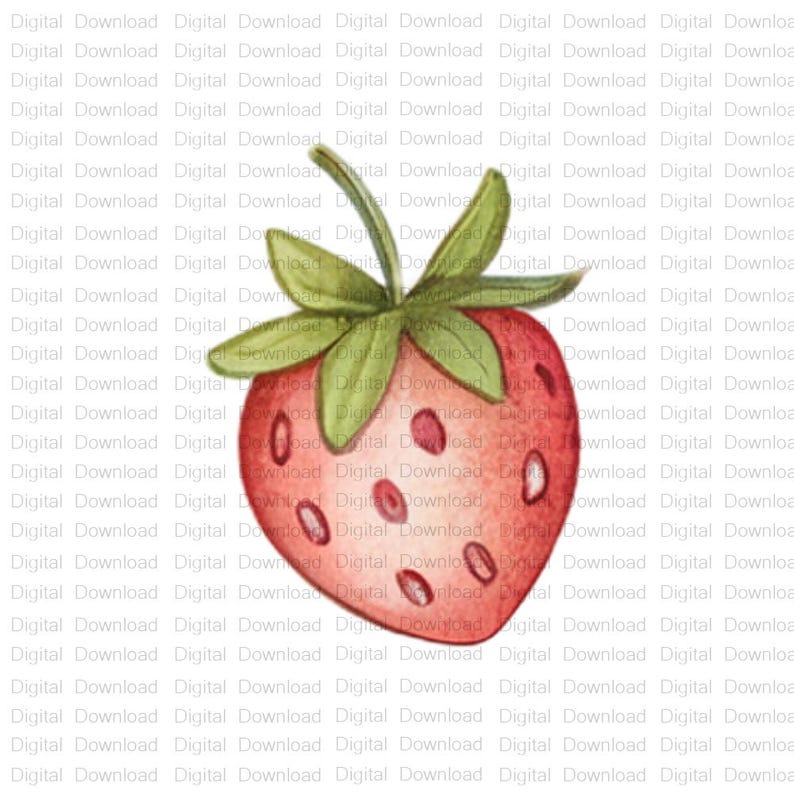 Strawberry Watercolor Clipart Bundle: Rustic Berry PNG Graphics ...