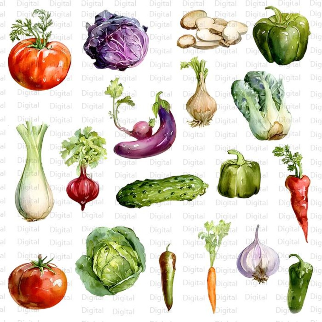 Vegetables Watercolor Clipart Bundle: Healthy Food Graphics (digital ...
