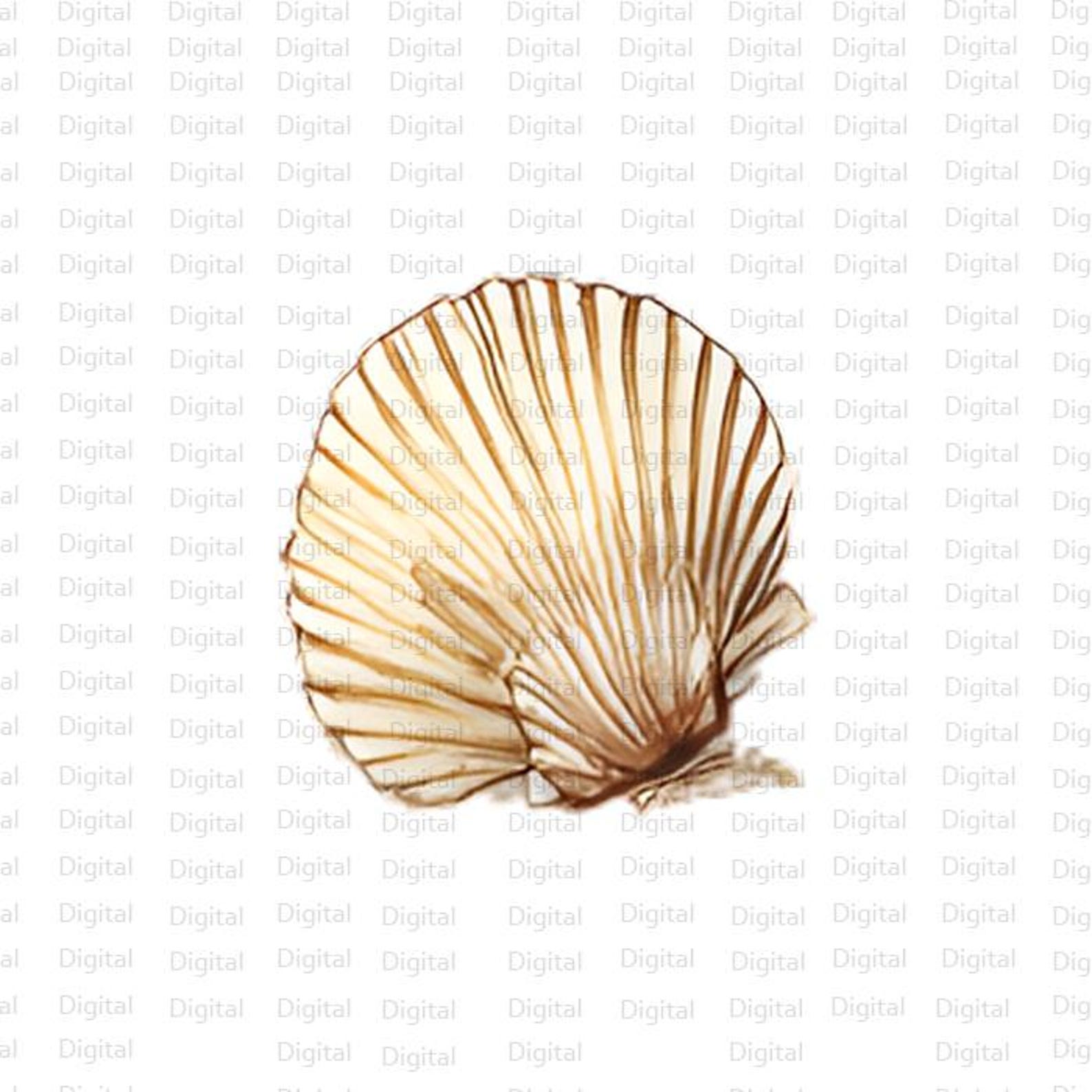 Watercolor Nautical Collection Clipart Bundle: Sea Life PNG Graphics ...