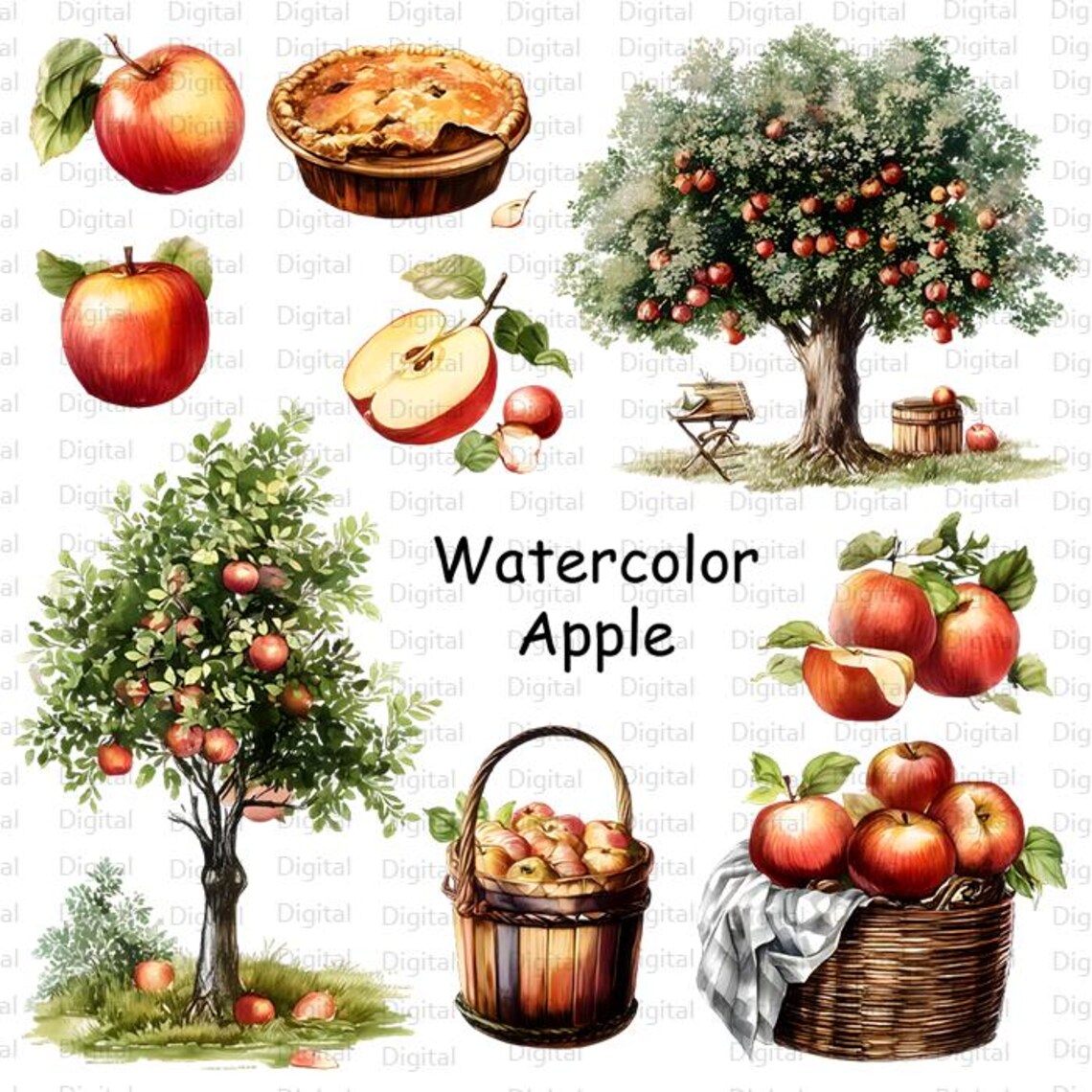 Apple Watercolor Clipart Bundle: Apple Tree Graphics (PNG Digital ...