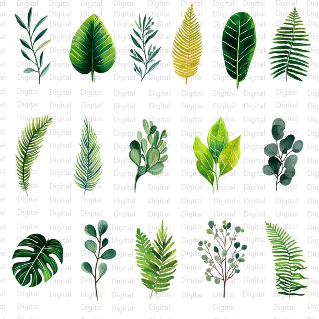 Tropical Leaves Watercolor Clipart Bundle: Tropic Watercolor (PNG ...
