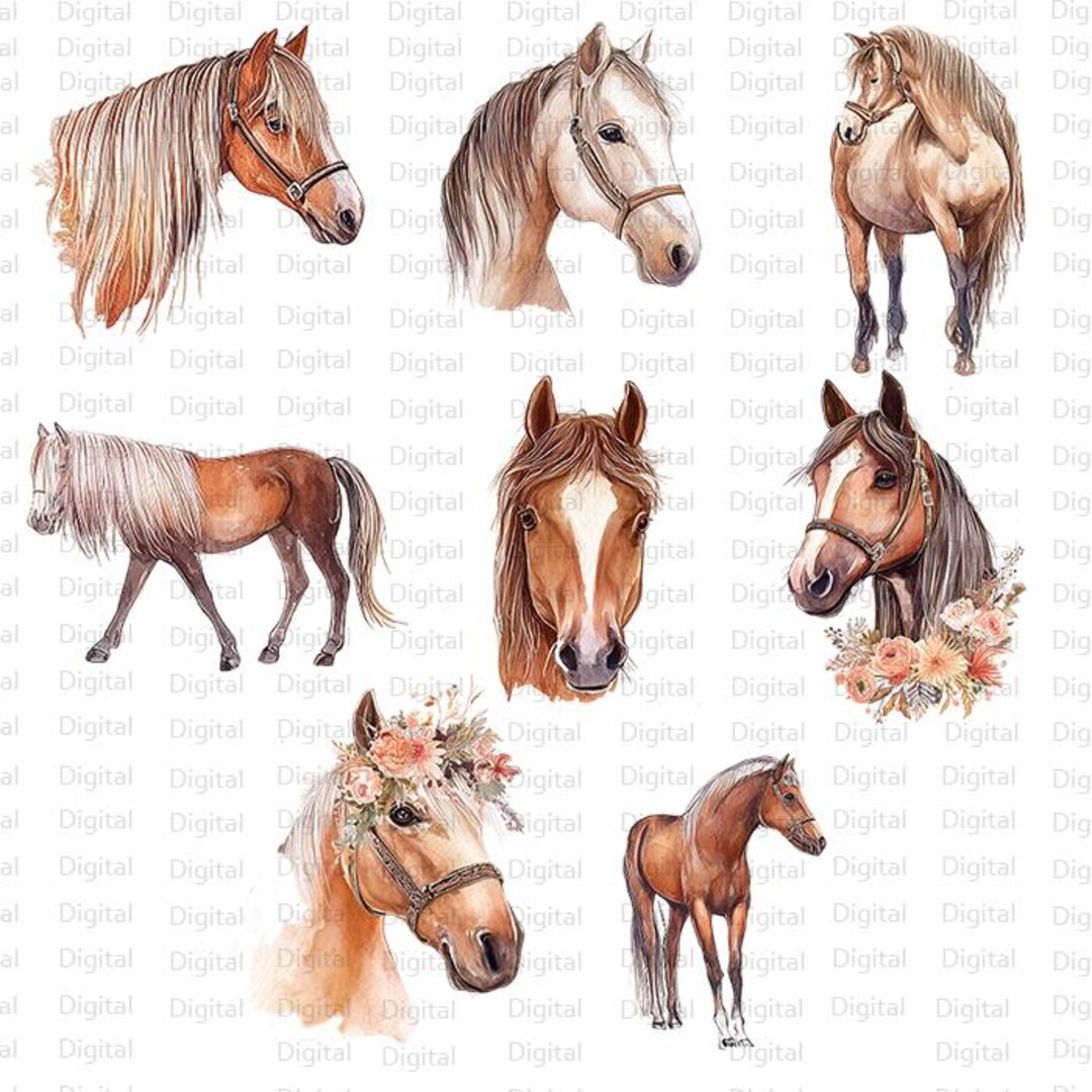 Watercolor Horse Clipart: Farm Animal PNG Bundle (digital Download) - Etsy