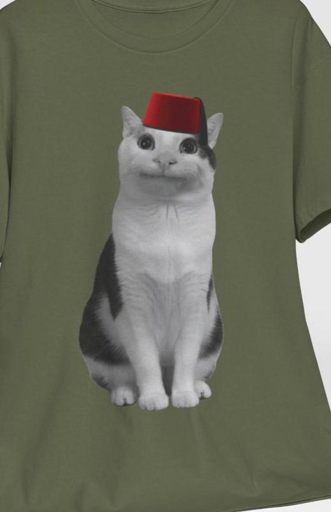 Cat Wearing Fez Tee | Funny Cat Illustration, Pet Lover Shirt, Multiple ...