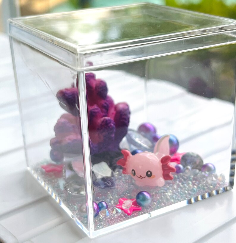 AXOLOTL Fish Tank DIY Slime Tank - Etsy