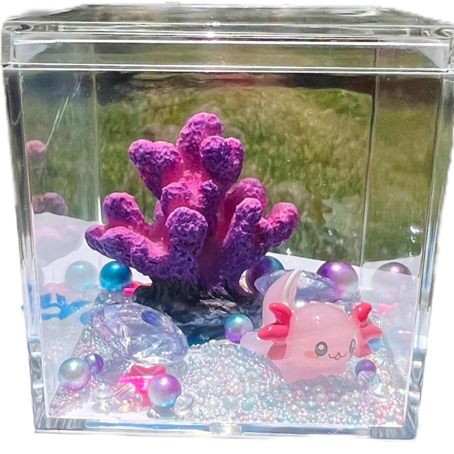 AXOLOTL Fish Tank DIY Slime Tank - Etsy