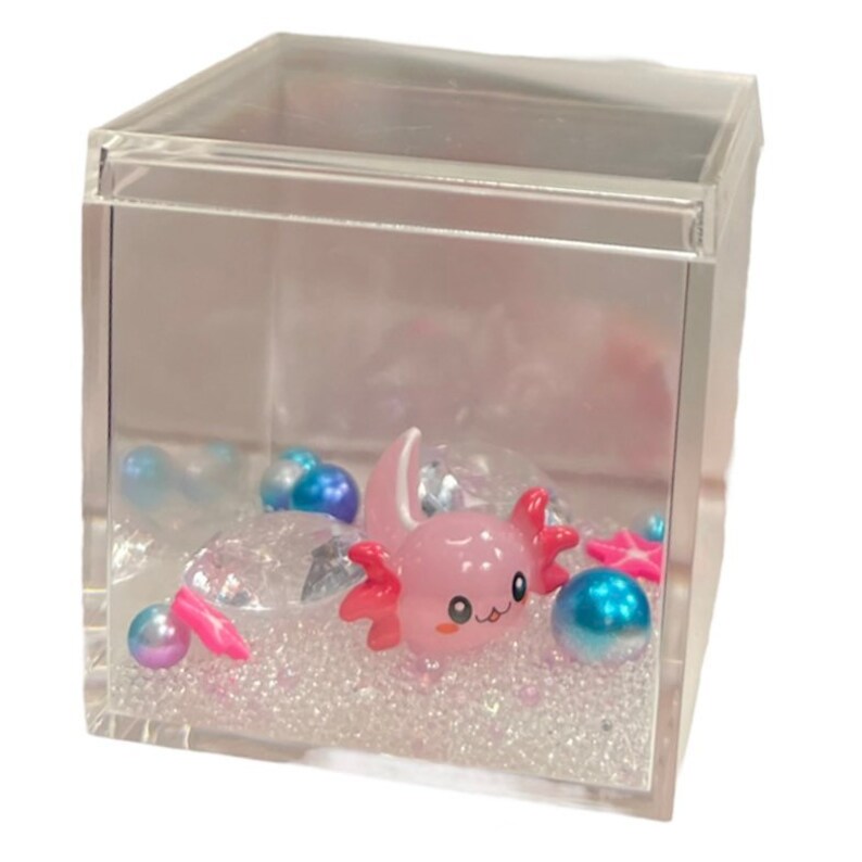 AXOLOTL Fish Tank DIY Slime Tank - Etsy