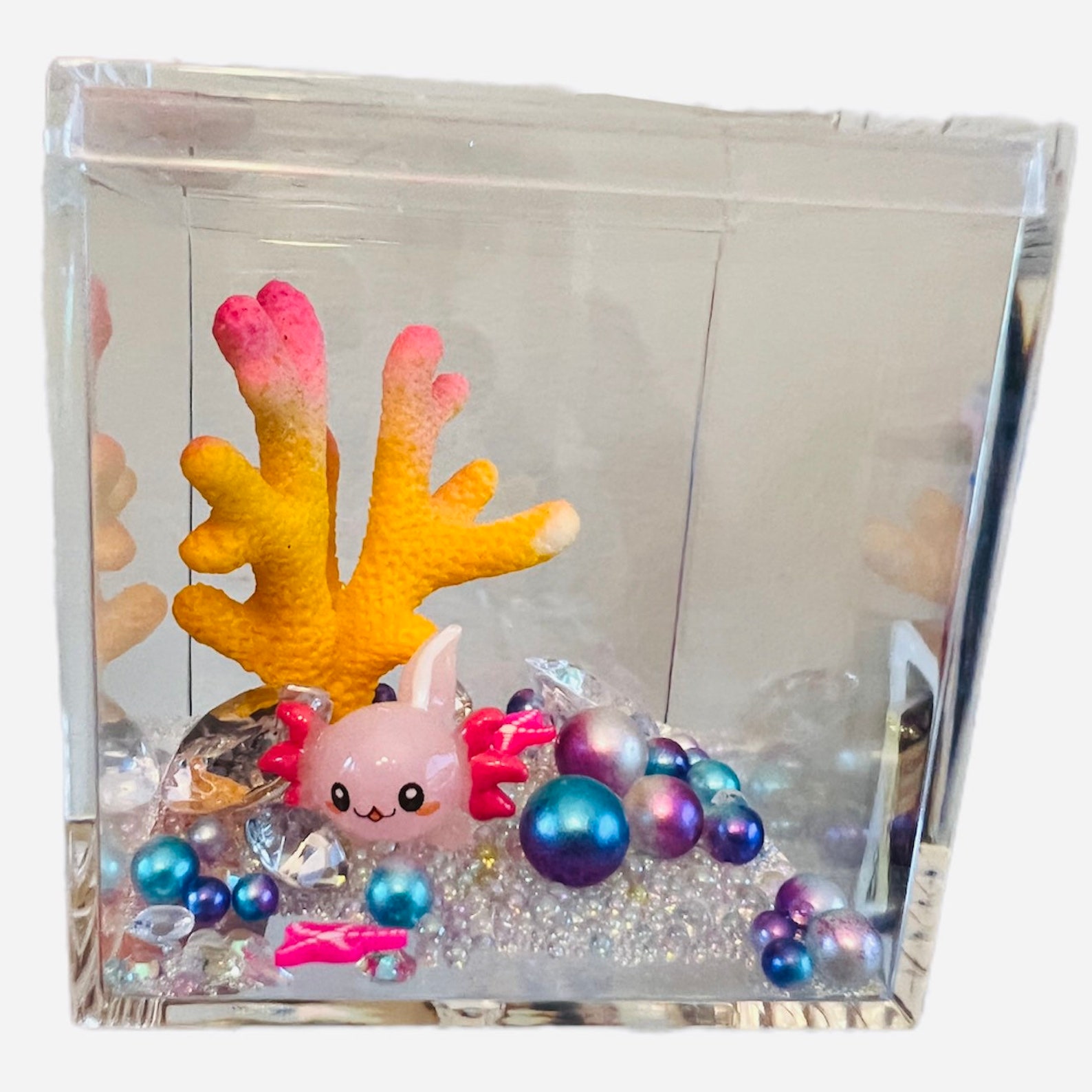AXOLOTL Fish Tank DIY Slime Tank - Etsy