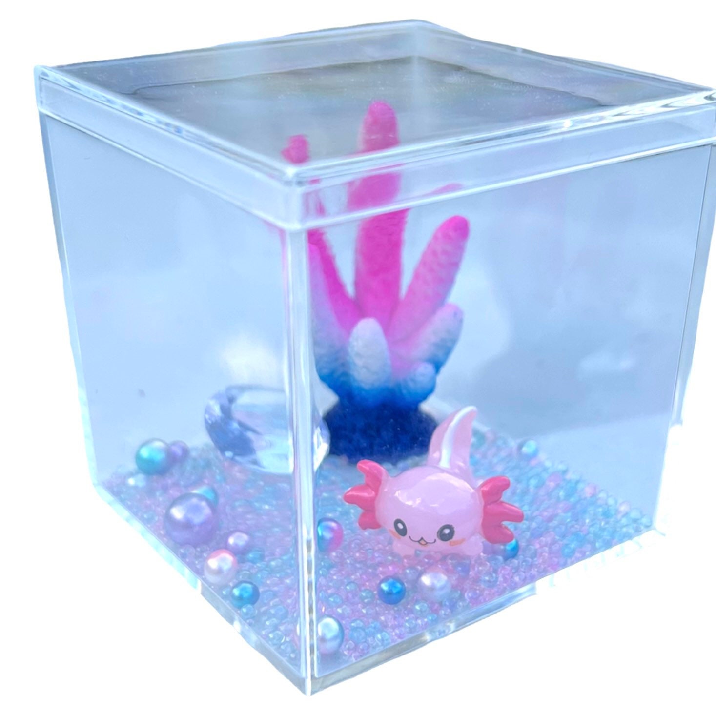 AXOLOTL Fish Tank DIY Slime Tank - Etsy UK