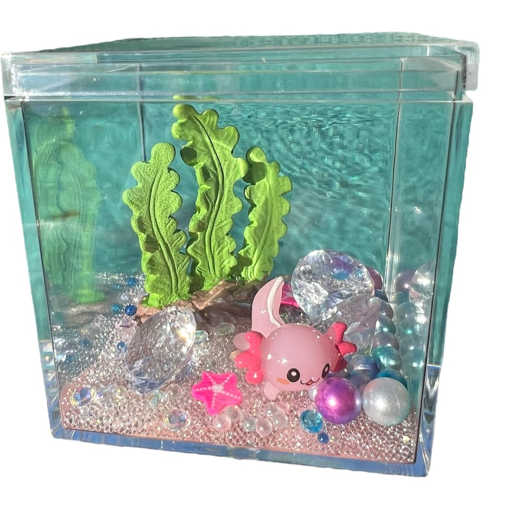 AXOLOTL Fish Tank DIY Slime Tank - Etsy